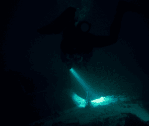 Night Diving Adventures: Exploring the Underwater World After Dark ...