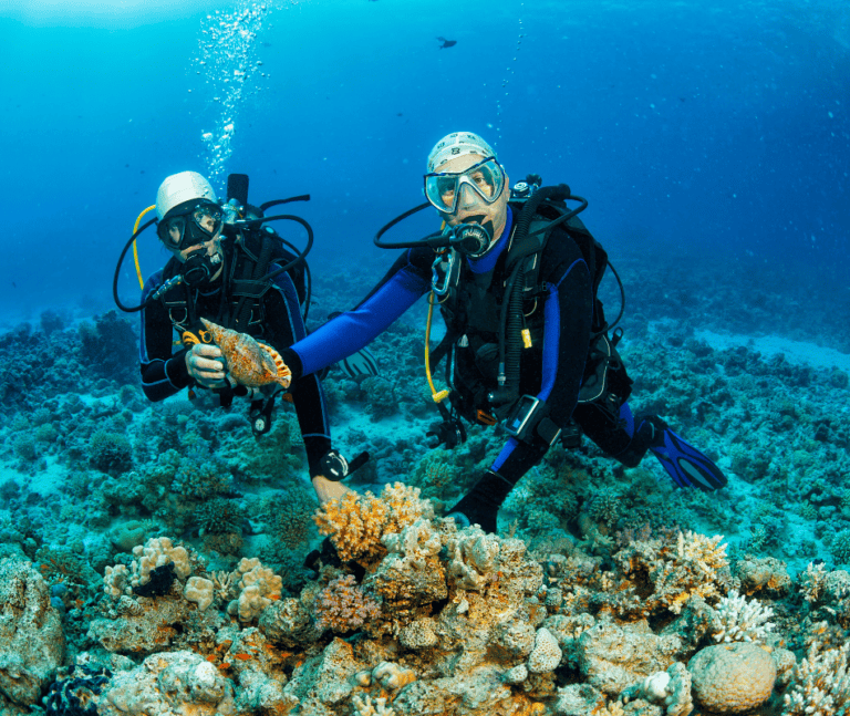 Scuba Diving’s Environmental Impact and How Divers Can Lead ...