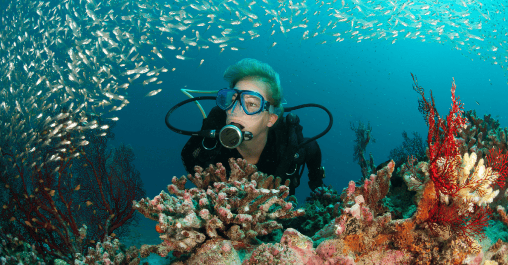 Scuba Diving’s Environmental Impact and How Divers Can Lead ...
