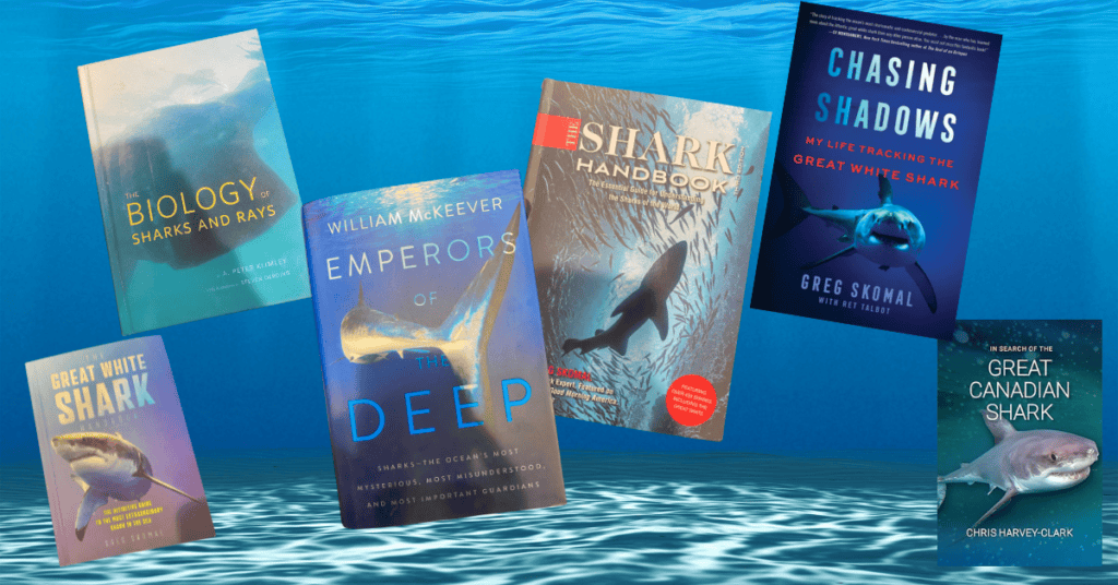 7 Shark Books Every Marine Enthusiast and Diver Should Read – Dive To ...